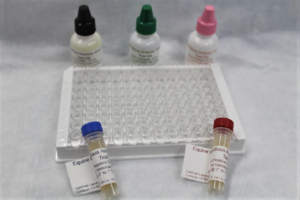 FP Elisa II - Equine Infectious Anemia (EIAV) - Centaur Animal Health