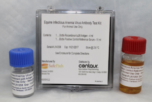 EIAV-AGID (Agar Gel Immunodiffusion Test) Equine Infectious Anemia ...